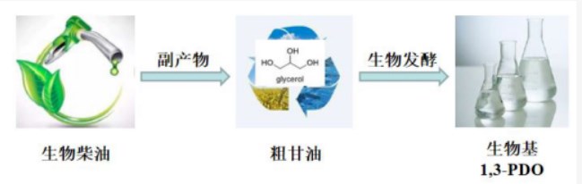 生物基PDO、PTT纤维是什么？怎么生产？有什么用途？-行业前沿|Chatplas|塑料在线