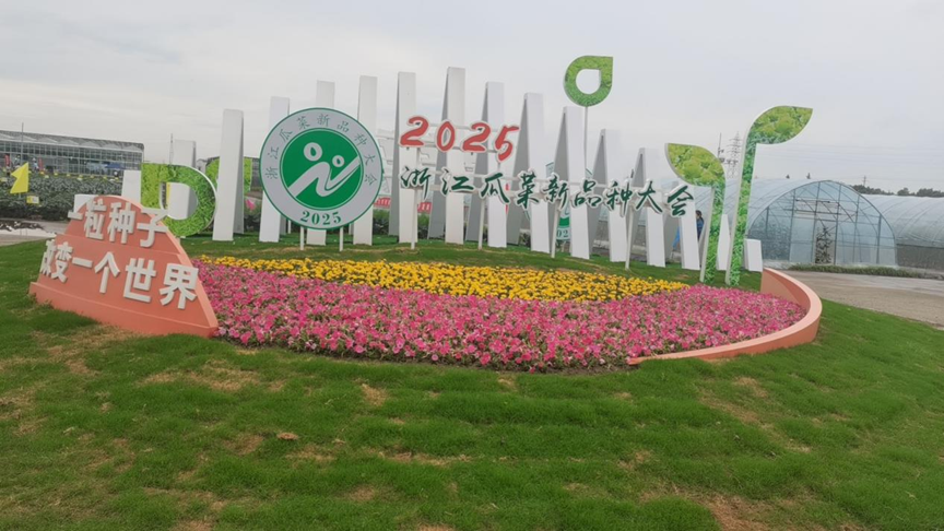 BDO废液无害化处理制备THF的新路径！-可降解塑料|Chatplas|塑料在线