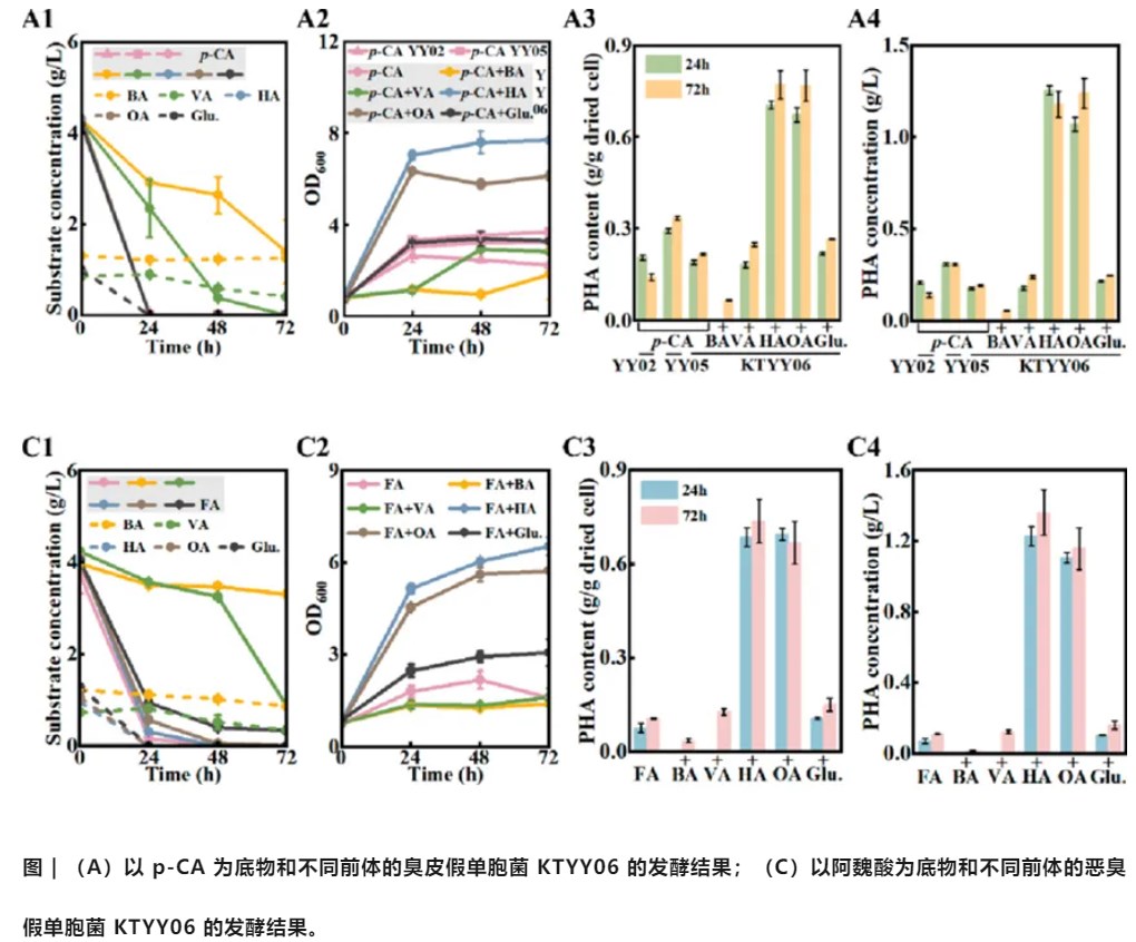 2.46g/L！天津大学团队，实现木质素高效转化高均质性PHA-行业前沿|Chatplas|塑料在线